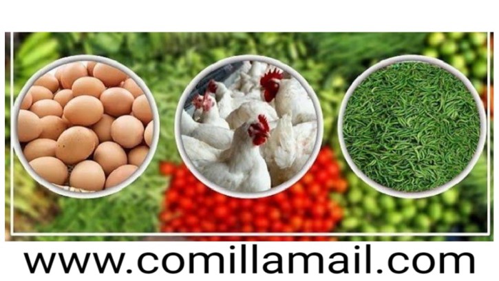 Comilla Mail